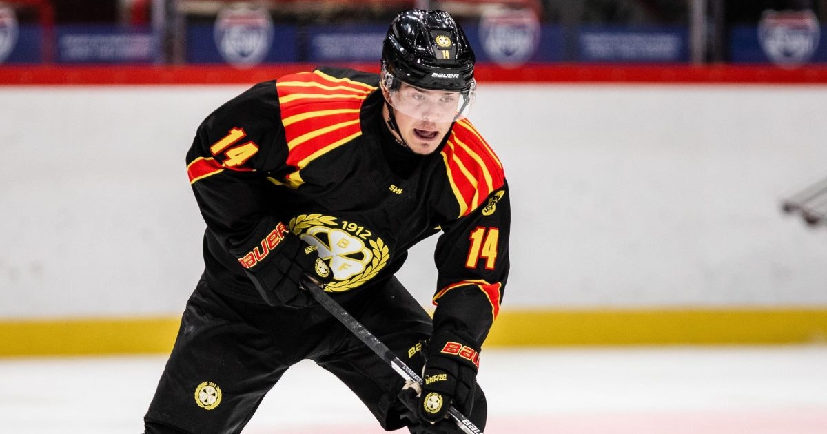 Värvar från Brynäs