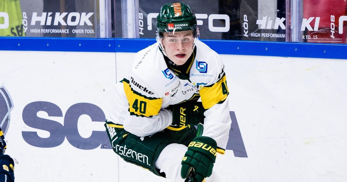 Alfons Freij uppges vara klar för Timrå säsongen 2025/2026 - SHL