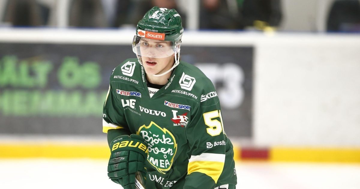 Christian Bull klar för Tingsryd - HockeyAllsvenskan