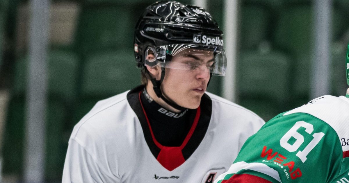 Kalmar HC lånar Felix Carell från Malmö Redhawks - HockeyAllsvenskan