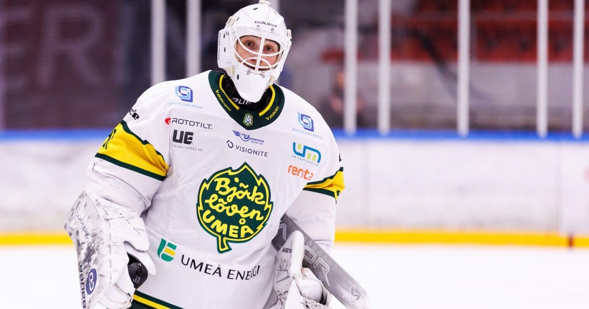 Melwin Asp Cassåsen klar för Borås Hockey i Hockeyettan
